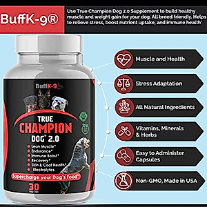 True Champion Dog 2.0 Most Complete Dog Muscle and Health Supplement, Vet & Nutritionist Developed, Safe and 100% All Natural (for Puppies & Adults), Calming, Lean Weight Gain, Dog Health