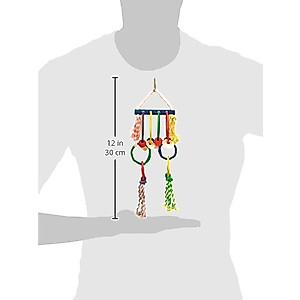 Prevue Hendryx Stick Staxs Hula Hooops Bird Toy, Multi, Small (62424)
