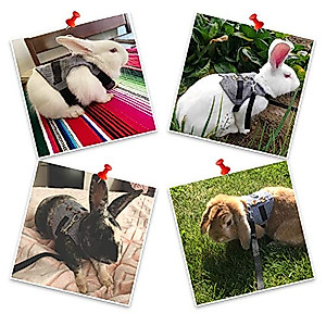 Cute Rabbit Harness and Leash for Walking，No Pull Adjustable Formal Suit Style Plaid Stripe Harness for Rabbit Kitten Chinchilla, Squirrel, Marten & Mink Small Animal（2 Pcs） (M)