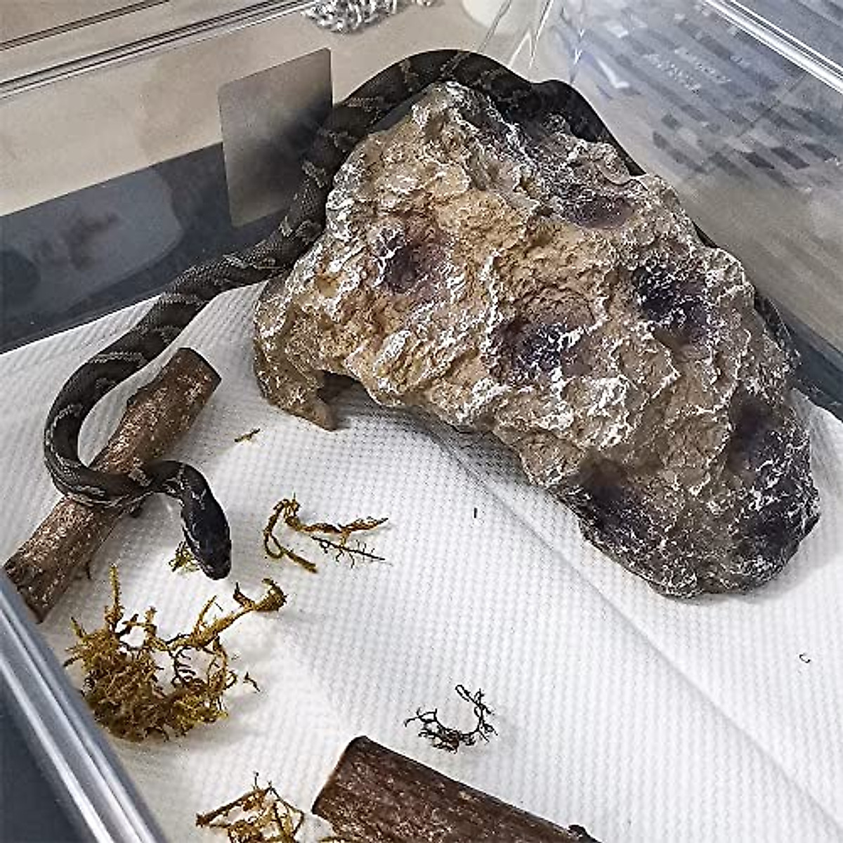 Flushbay Reptile Rock Hide Cave Resin Large Reptile Hideouts Habitat Cave Terrarium Decorations for Bearded Dragon Lizards Geckos Leopard Chameleons Frogs Turtles Snakes