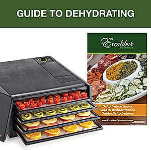 Excalibur 2400 Electric Food Dehydrator Machine with Adjustable Thermostat, Accurate Temperature Control and Fast Drying, 220 W, 4 Trays, Black