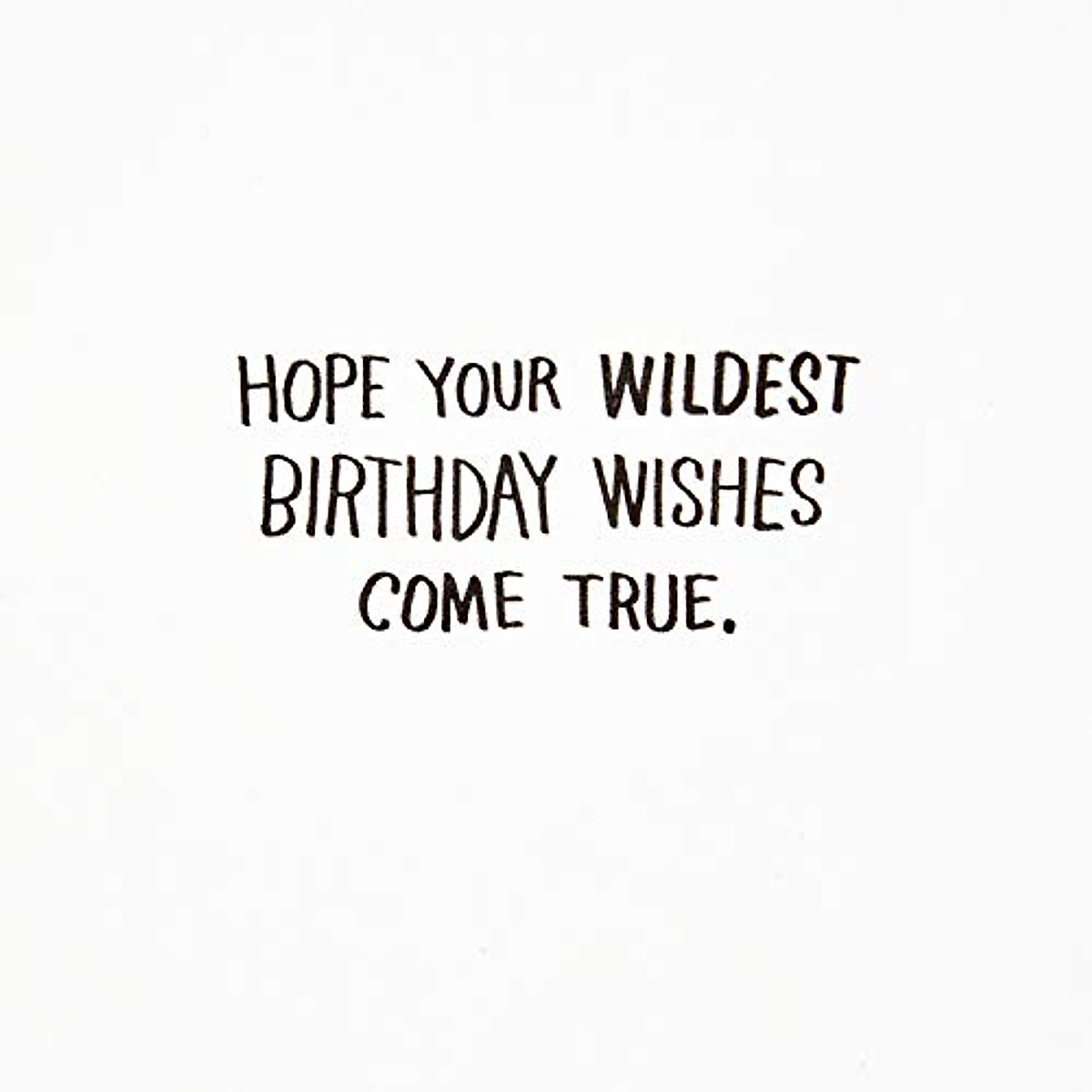 Hallmark Shoebox Funny Birthday Card