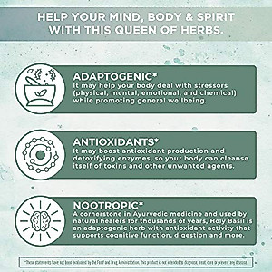 USDA Organic Holy Basil Drops & Black Cumin Seed Oil Bundle by MaryRuth's | Stress Relief | Supports Cognitive Function & Calmness | Antioxidant | Immune Support | Heart Health, Hair, and Skin.