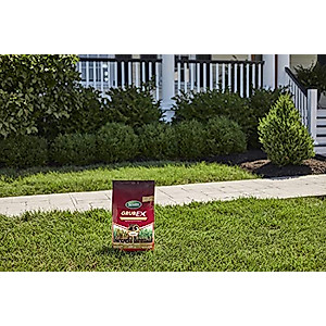Scotts GrubEx1 - Grub Killer for Lawns, Kills White Grubs, Sod Webworms and Larvae of Japanese Beetles & More, Lawn Treatment for Season Long Grub Control, Treats up to 10,000 sq. ft., 28.7 lb.