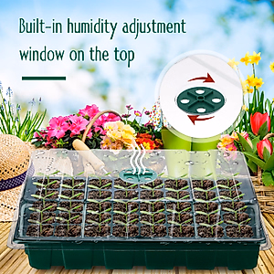 Hoolerry Seed Starter Tray 40 Cells Seed Starter Kit with Humidity Dome and Base Propagation Tray Plant Germination Trays Greenhouse Mini Propagator Station for Seeds Growing (Green,20 Pcs)