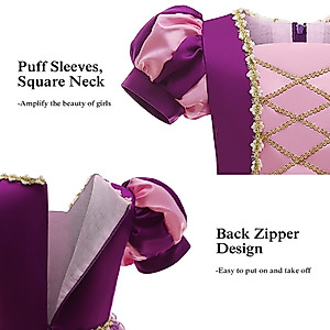 JOURPEO Girls Dress Puff Sleeve Princess Costume Dress Up Fancy Halloween Christmas Cosplay Party Costume (First Purple, 3-4 Years)