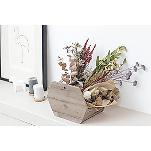 IRIS USA, Inc. SBD IS3B Stack Box, Storage Basket, Brown