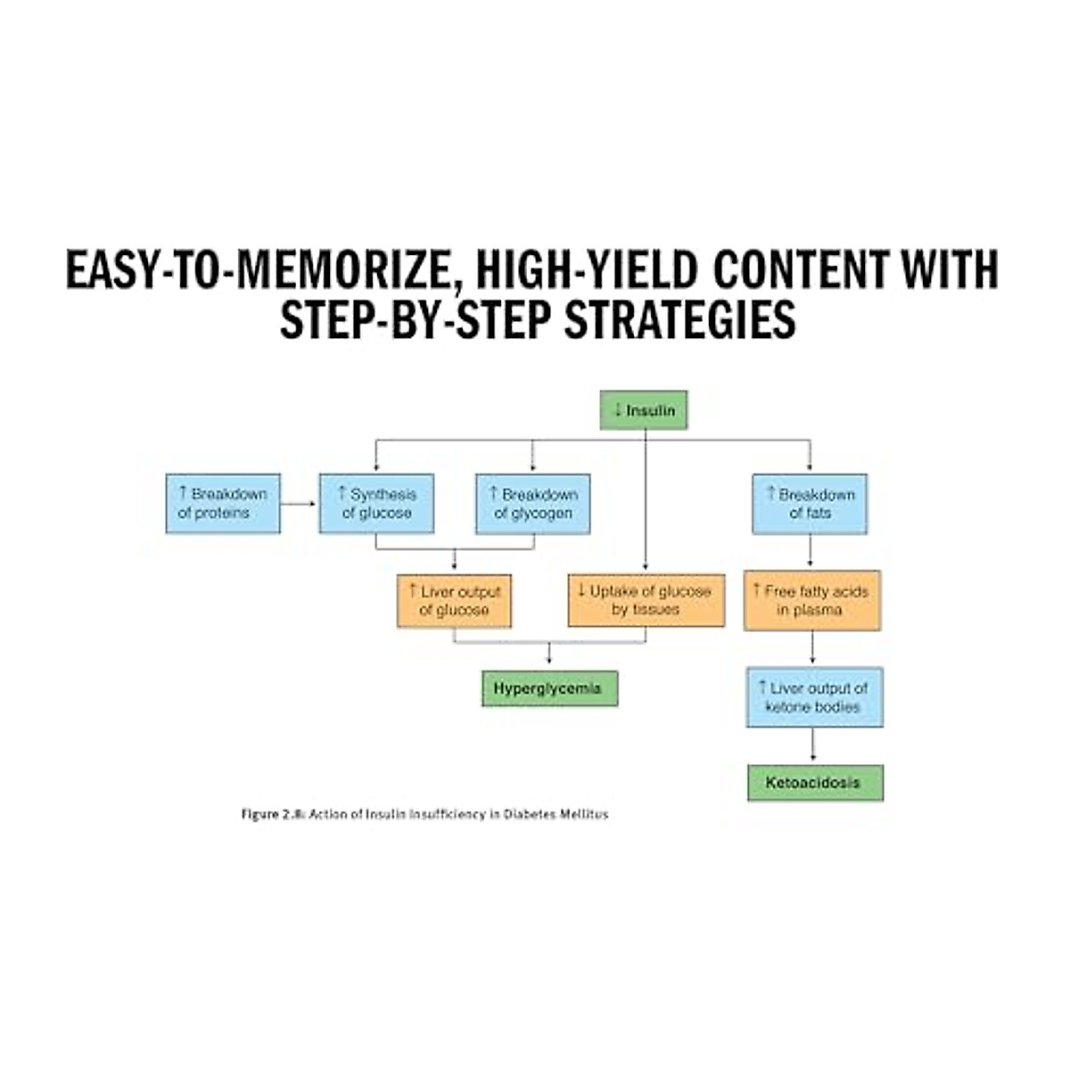 Master the Boards USMLE Step 2 CK, Seventh Edition