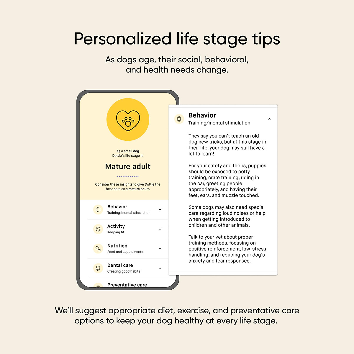 Embark Dog Age Test Kit - Estimates Age and Birthday - DNA Methylation - Best for Dogs Past Puppy Stage - Includes Life Stage Care Tips - Great for Rescue Dogs