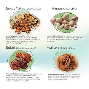 Mycogen for Dogs - Vitamins with 8 Types of Mushrooms - Support Immune System - 60 Soft Chews