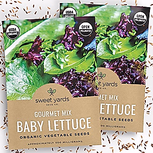 Baby Leaf Lettuce Seeds (Colorful Spring Mix) - 2 Seed Packets! - Over 1000 Open Pollinated Non-GMO USDA Organic Seeds