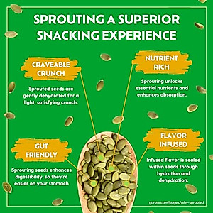 Go Raw , Sprouted Pumpkin and Sunflower Seed Mix| Keto | Vegan | Gluten Free Snacks | Organic | Superfood (Packaging May Vary), 14 oz(Single) (71450-64157), .0 Oz, Unsalted Mix 1 Pound 16.0 Ounce