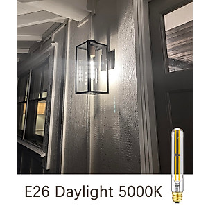 HOMOSUM Dimmable E26 Light Bulbs 6W Equal 60 Watt Edison LED Light Bulb AC120V Daylight 5000K 60W 600LM T10 LED Bulb Medium Base E26 LED Bulb Pack of 4 (7.3 Inch 6w=60w 5000k Clear)