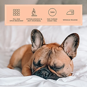 PeachSkinSheets Classic White Sheet Set - 1500tc Level of Softness - Extra Soft Cooling Sheets for Hot Sleepers and Night Sweats - Regular King Size