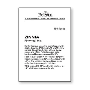 Burpee Pinwheel Mix Zinnia Seeds 150 seeds