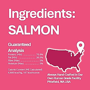 Whole Life Pet Just One Salmon - Dog Treat Or Topper - Human Grade, Freeze Dried, One Ingredient - Protein Rich, Grain Free, Made in The USA