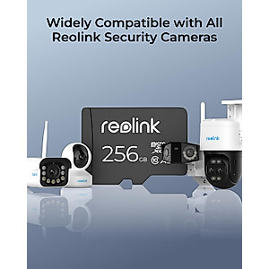 REOLINK 256GB microSDXC Memory Card, Up to 100MB/s, 4K UHD, U3, A2, V30, Class 10, Micro SD Card Fully Compatible with Reolink Security Camera