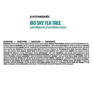Prairie Naturals Big Sky Tea Tree Conditioner, 16.89 Fluid Ounce
