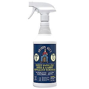 Grandpa Gus's Deer & Rabbit Repellent Ready-to-Use Spray, Protects Garden & Yard, Sweet Smelling Formula with Natural Essential Oils, Weather-Resistant Stink-Free Long-Lasting Scent (32oz)