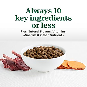 NUTRO Limited Ingredient Diet Adult Dry Dog Food Venison Meal & Sweet Potato Dog Kibble, 22 lb. Bag