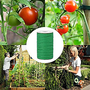 Garden Tree Tie, 164 Feet 8mm Soft Durable Green Plant Twine Stretchy Tree Supports Biodegradable for Tomato Plants, Climbing Roses and Vines Organizing