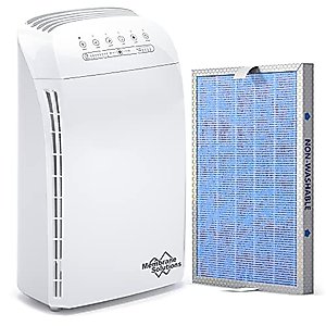 MSA3 Air Purifier with One Extra Original MSA3 Replacement Filter