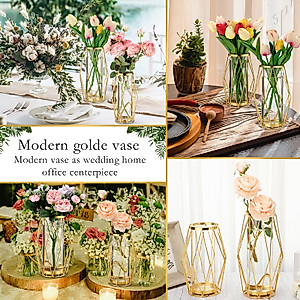 Lallisa 8 Pcs Gold Flower Vase Glass Vase Metal Geometric Vase Geometric Centerpiece with Glass Tall Geometric Candleholders for Candle Rose Table Wedding Living Room Decorations, 9.45 Inch, 7.87 Inch