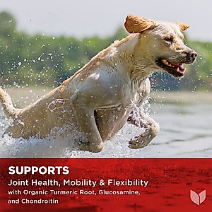 Hyland's Naturals - Dogs - Max Mobility, 90 Soft Chews, Supports Joint Health, Mobility & Flexibility, with Organic Turmeric Root, Glucosamine & Chondroitin, BBQ Chicken Flavor