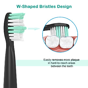 Relax Artist Toothbrush Replacement Heads Compatible with Fairywill Toothbrush Heads Handle Fairywill FW-507/508/551/515/917/959/2011 FW-D1/D3/D7/D8 for Fairywill Electric Toothbrush 8 Count