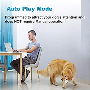 Wickedbone Smart Bone, Automatic & Interactive Toy for Dog, Puppy and Cat, App Control, Safe & Durable, Keep Your Pets Entertained All Day