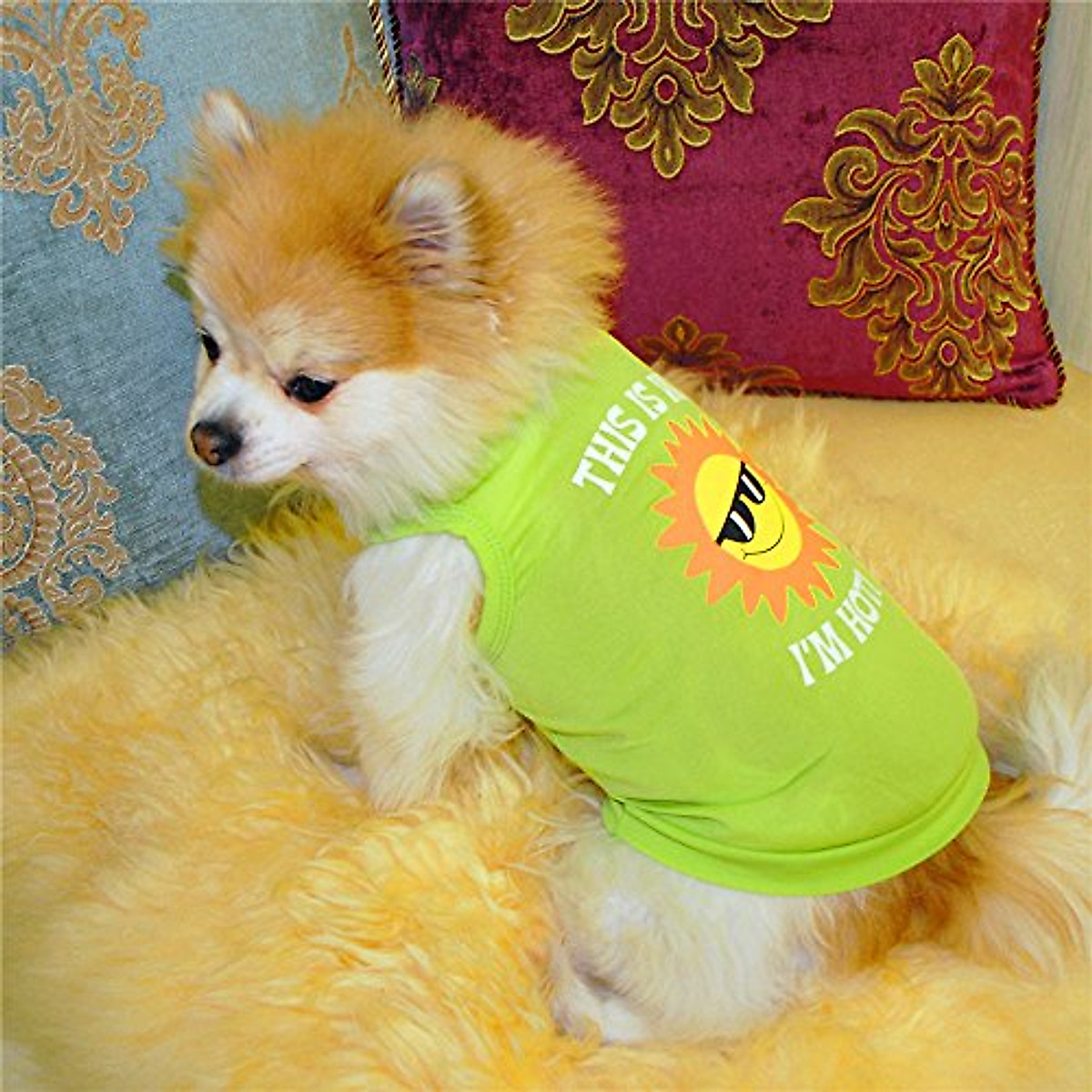 Dog Clothes Medium Size Dog Female Cat Clothes Vest Shirt Summer Shirt Puppy Small Pet Clothes Doggy Clothes for Small Dogs Girl