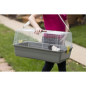 Prevue Pet Products Universal Pet Carrier, Gray, Small (Model: 1306)