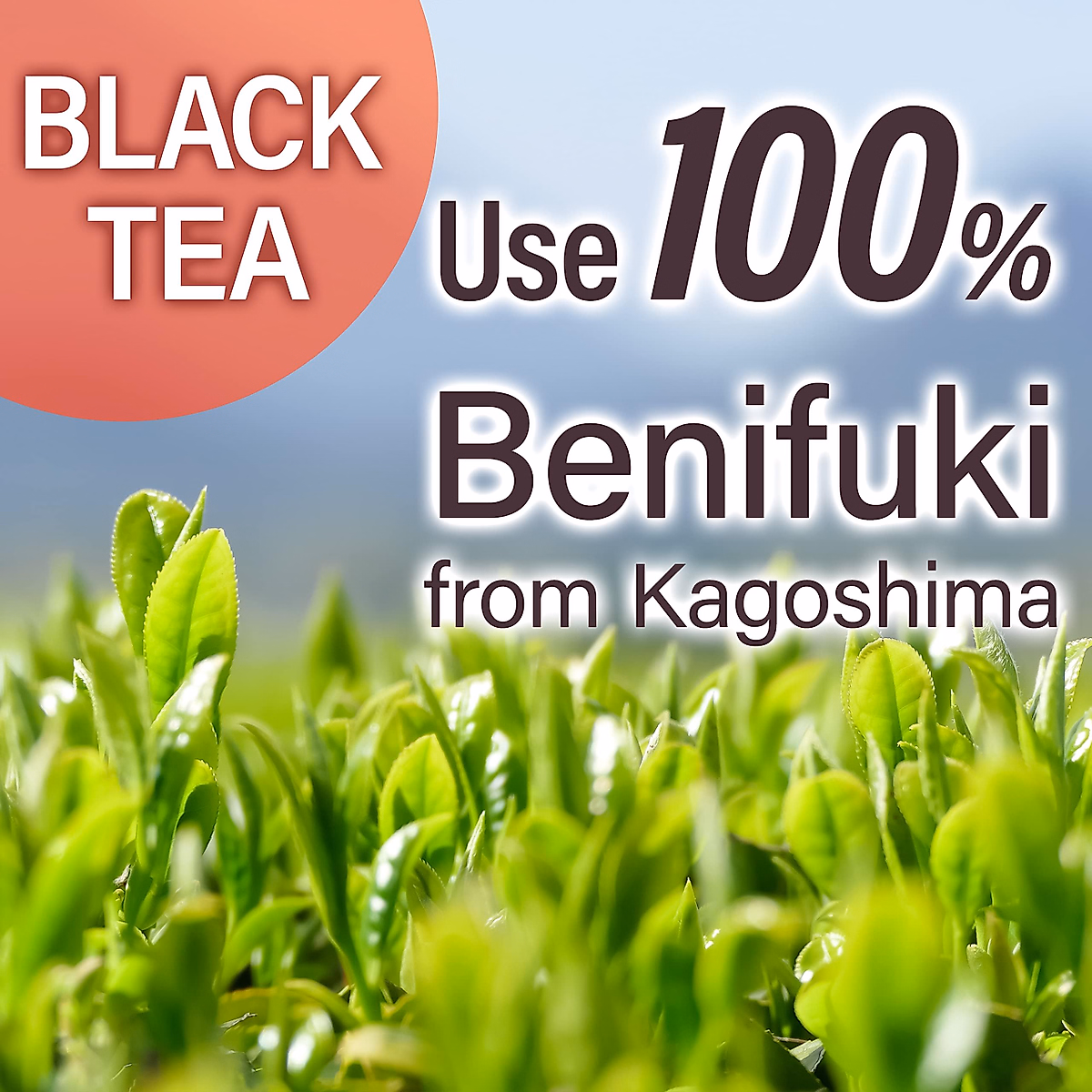 YAMASAN KYOTO UJI Sakura Japanese Loose Leaf Black Tea Bag 3g×15bags,Cherry Blossom Flavored Tea, Blended with cherry leaves