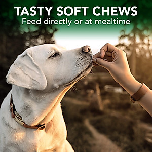 Vet's Best Seasonal Allergy Soft Chew Dog Supplements | Soothes Dogs Skin Irritation Due to Seasonal Allergies | Maintain Histamine Levels | 50 Chewable Tablets, 30 Count (Pack of 2)