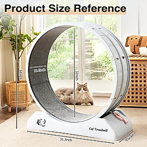 EXQ Home Cat Exercise Wheel, 31.5 Inch Cat Treadmill for Indoor Cats, Plastic Cat Wheel with Noiseless Carpeted Runway, Cat Running Wheel for Cat's Fitness & Health (Grey)