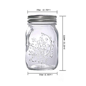 Hovico Mason Jars 17 oz With Regular Lids and Bands, Ideal for Jam,Dishwasher Safe Mason Jar for Fermenting, Kombucha, Kefir, Storing and Canning Uses, Clear- Set of 6