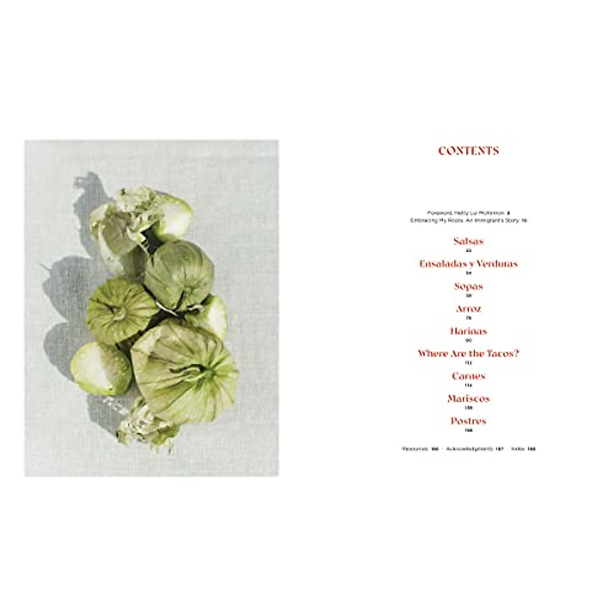 Mamacita: Recipes Celebrating Life as a Mexican Immigrant in America