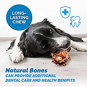 123 Treats Meaty Dog Bones, 100% Natural Knee Cap Beef Bone Dog Treats, No Additives, Made from Premium USA Grass Fed Beef, Tasty Long Lasting Chews for Dogs, Improve Oral Health, Pack of 10