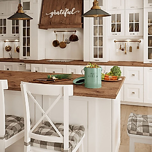 Barnyard Designs Kitchen Compost Bin Kitchen Counter Indoor Compost Bin, Countertop Compost Bin with Lid, Composting Bin Food Waste Composter Bin Cycler Bucket with Filter, 1.2 Gallon 7”x9.5”, Mint