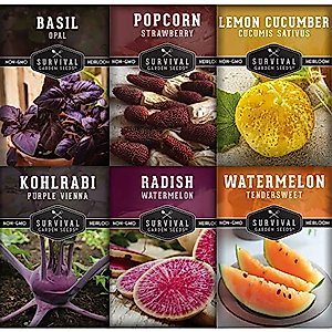 Survival Garden Seeds Exotic Vegetable Collection - Purple Vienna Kohlrabi, Lemon Cucumber, Watermelon Radishes, Opal Basil, Strawberry Popcorn, Tendersweet Orange Watermelon Non-GMO Heirloom Seeds
