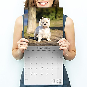 2023 2024 West Highland Terrier Calendar - Dog Breed Monthly Wall Calendar - 12 x 24 Open - Thick No-Bleed Paper - Giftable - Academic Teacher's Planner Calendar Organizing & Planning - Made in USA