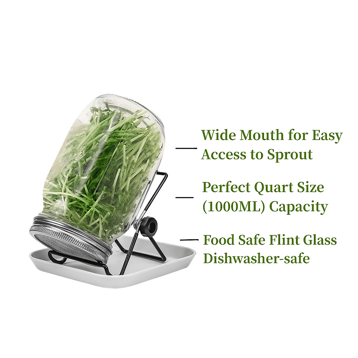 Lulonpon 2 Sprouting Jar Kit, Wide Mouth Quart Mason Jars with Stainless Steel Screen Sprout Lids, 86mm,1000ml,Stand,Tray and Canning Brush,Seed Sprouter Set for Growing Broccoli, Alfalfa, Mung Bean