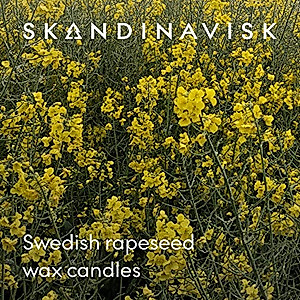 Skandinavisk Skog 'Forest' Scented Candle. Fragrance Notes: Pine Needles and Fir Cones, Birch Sap and Lily of The Valley. 7.0 oz.