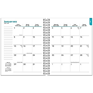 Kittens | 2023 6 x 7.75 Inch Spiral-Bound Wire-O Weekly Engagement Planner Calendar | New Full-Color Image Every Week | BrownTrout | Animals Cats Pets