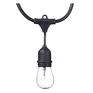 GLOBE ELECTRIC COMPANY INC 67855 Dublin 24LT S14 LED String Light, Clear