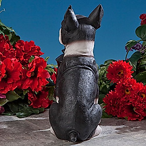 Bits and Pieces - Boston Terrier Solar Lantern Statue - Yard Decorations - Solar Powered Garden Lantern - Resin Dog Sculpture - Outdoor LED Lighting