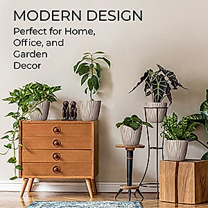 Mueller Austria Plant and Flower Pot 6/1 Set, Heavy Duty 6 Inch European Made Stylish Indoor/Outdoor Decorative Planter, for All House Plants, Flowers, Herbs, Mocha