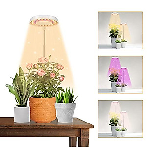 GooingTop LED Grow Light, Halo Plant Lamp for Indoor Plants Growing, White Circle Low Light for Bonsai Succulents Mini Small Plants,Upgrade Timer 4/8/12/18 Hrs (with USB Plug)