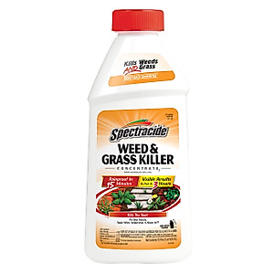 Spectracide Weed And Grass Killer Concentrate 16 Ounces, Use On Patios, Walkways And Driveways