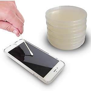 Malt Extract Agar Plates - Evviva Sciences - Great for Mushrooms, Molds, Fungus - 10 Prepoured MEA Petri Dishes - Also Great for Science Fair Projects!